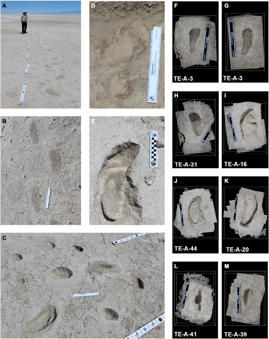 Ancient tunnels built thousands of years ago weren't made by humans ...