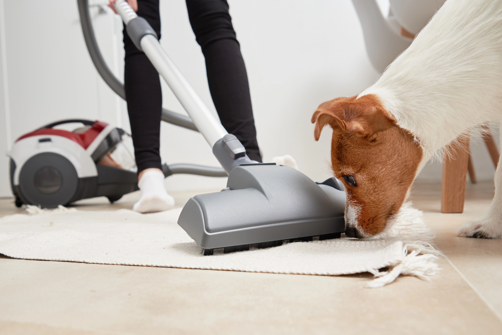 15 Tricks to Keep Floors Clean with Pets
