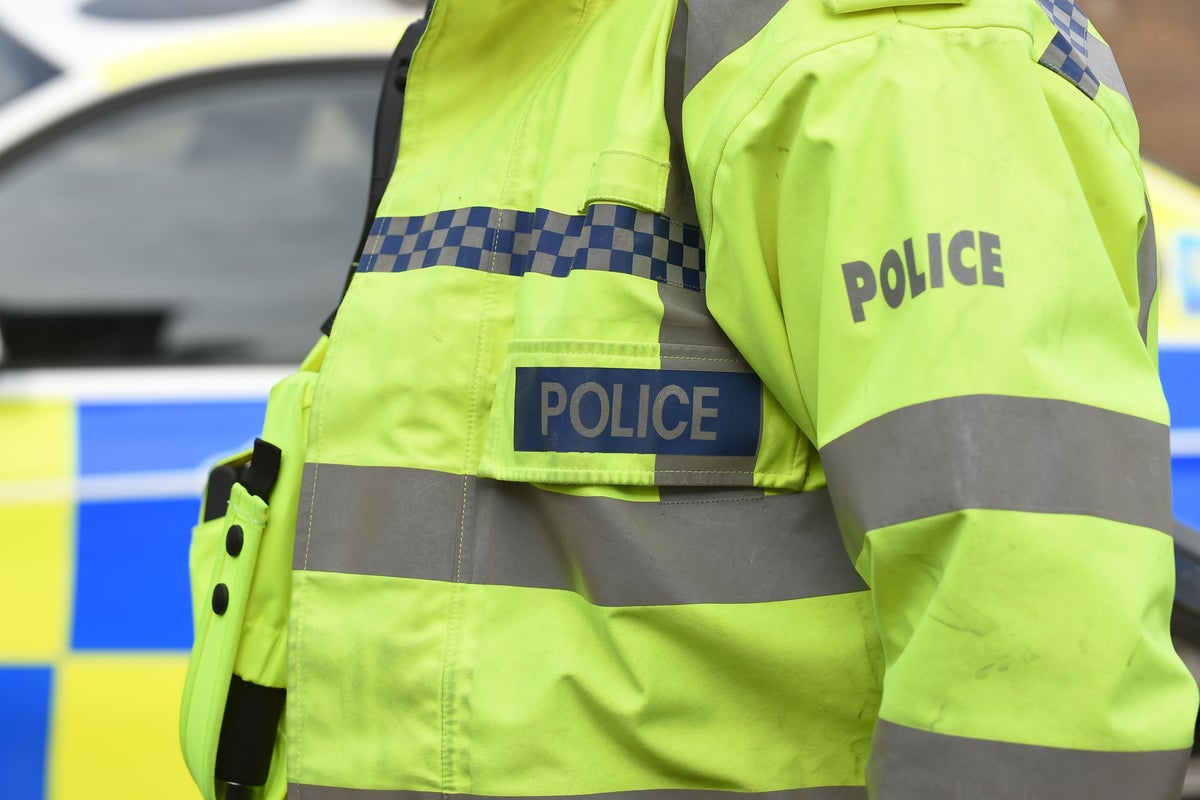 Watchdog launches probe after man dies in custody after being tasered ...