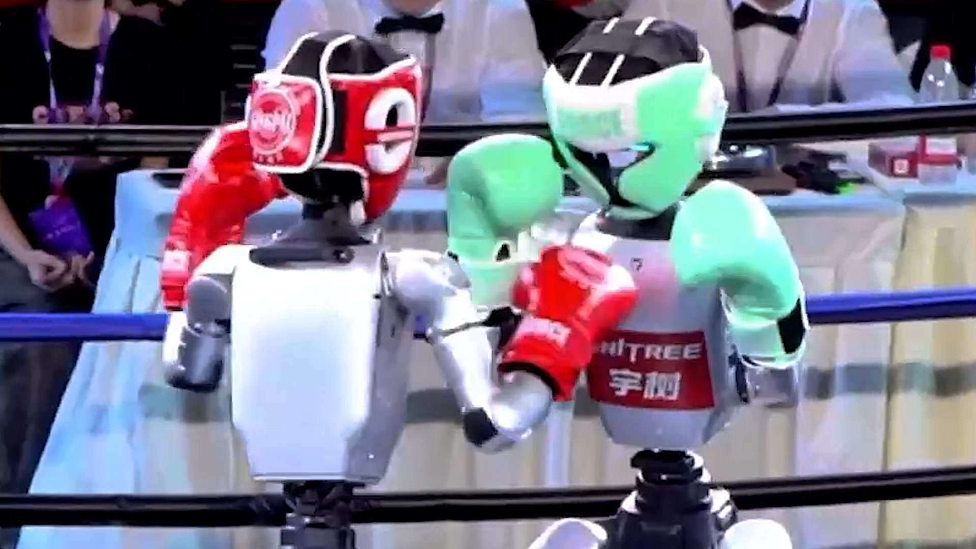 Humanoid robots have full-on boxing match