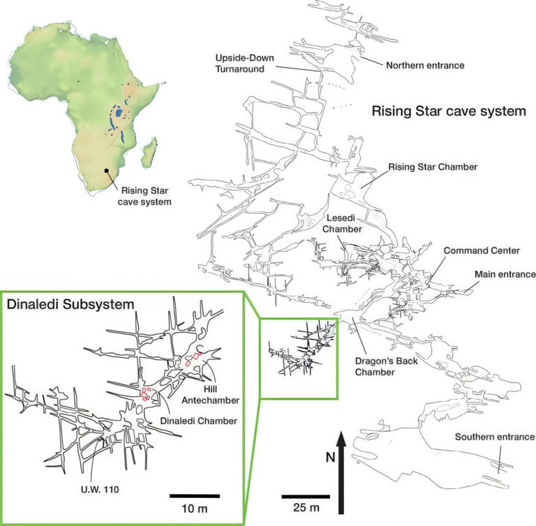 New Homo naledi evidence supports intentional burial practices