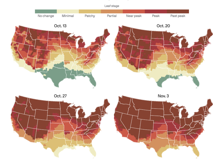 Here's when fall foliage in GA will peak in 2025 and the best places to ...