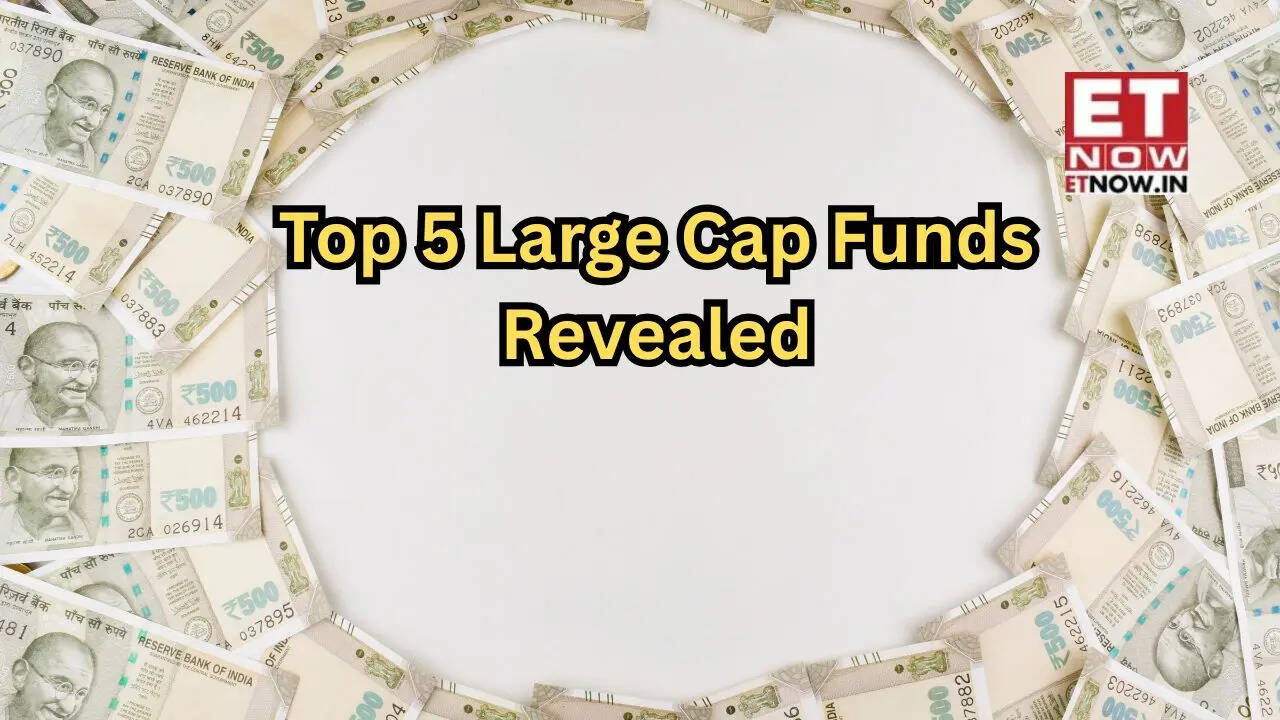 Top 5 Large Cap Funds: Rs 1 lakh turned into Rs 3.13 lakh in 5 years ...