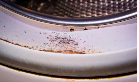Washing machines will never become mouldy if you do a 5-second task ...