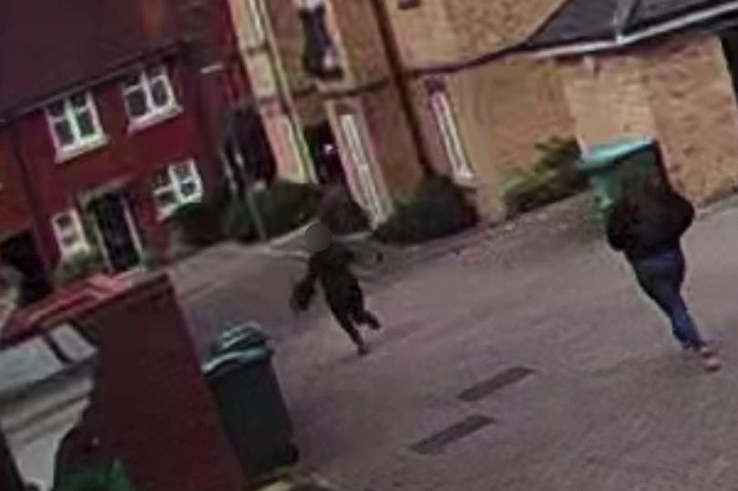 Video shows dog owner 'chasing puppy snatcher' down street after ...