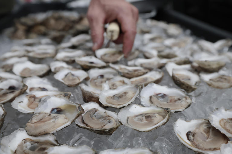 JJ McCarthy’s Future Wife Sends Personal Message to Vikings QB on Sunday