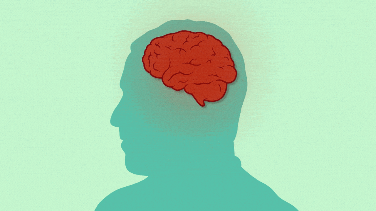 How and why we fail to adapt, according to neuroscience