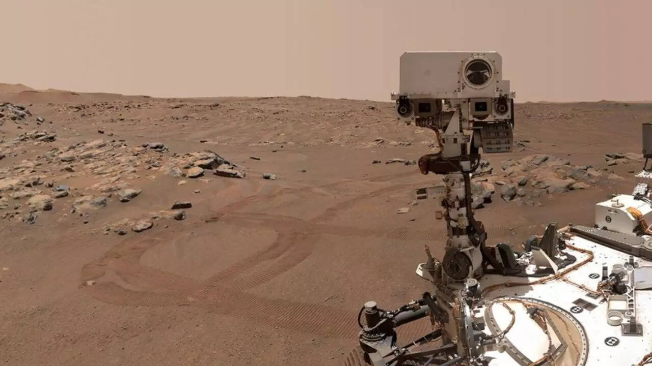 NASA Perseverance rover discovers turtle-shaped rock on Mars ...