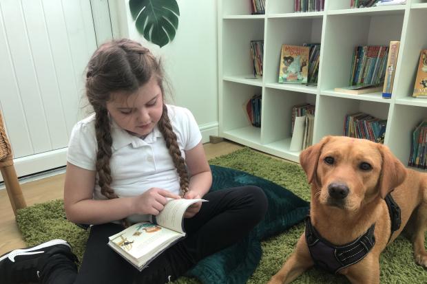 Meet the dog helping pupils read and aiding their wellbeing