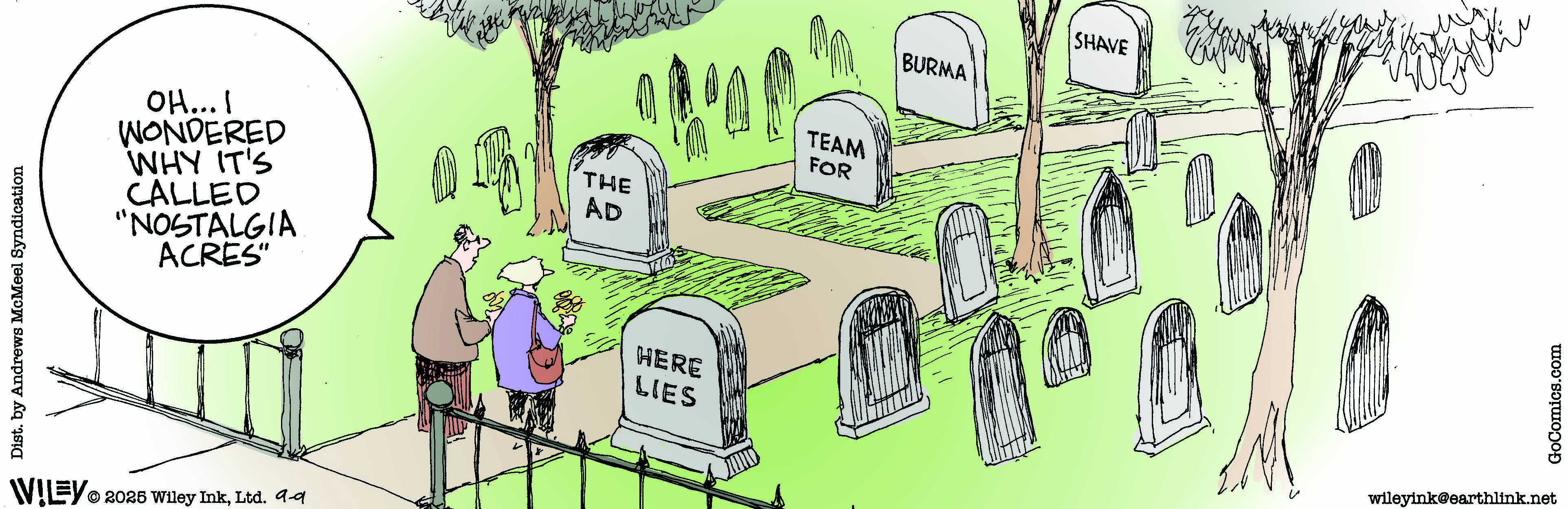 Non Sequitur by Wiley Miller