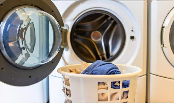 Washing machines will never become mouldy if you do a 5-second task ...