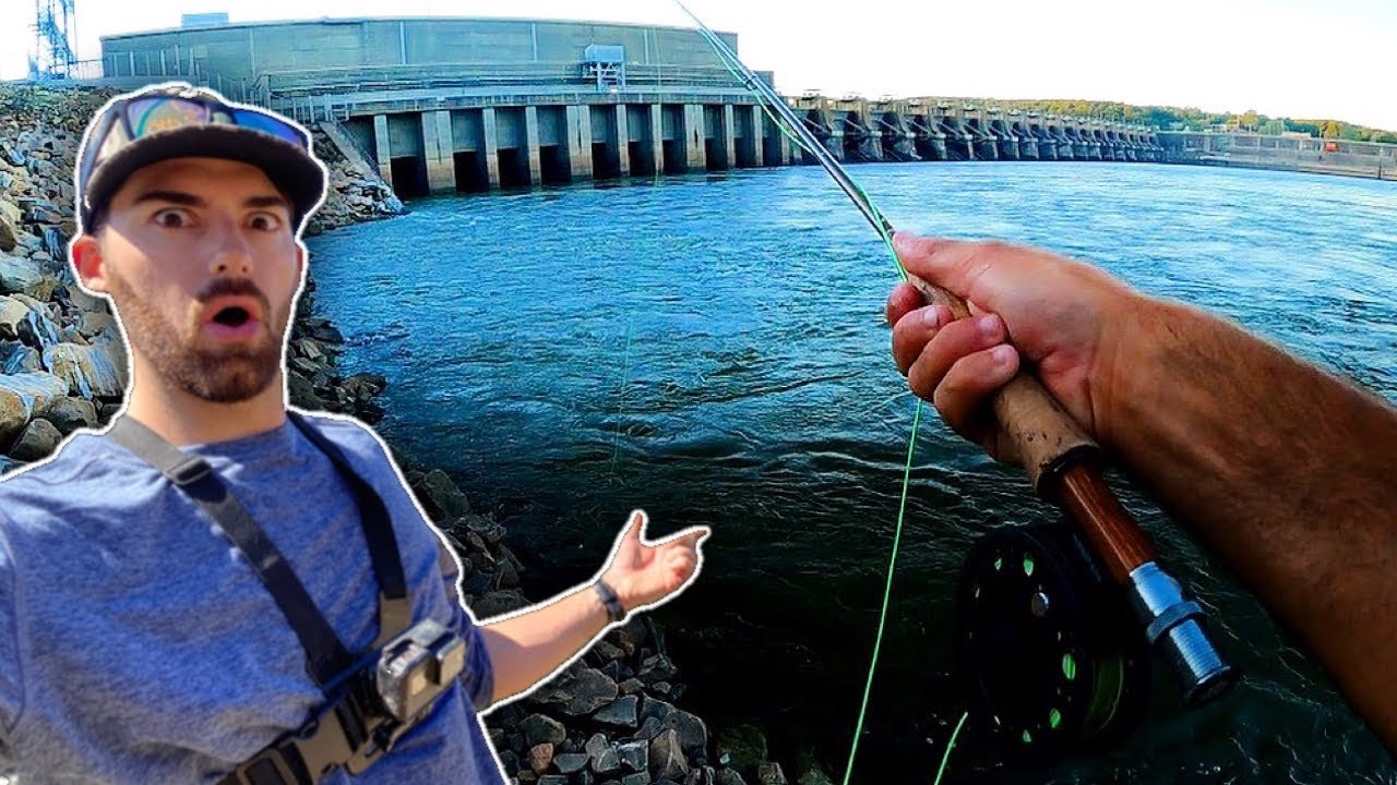 Catfish fly-fishing at raging river spillway