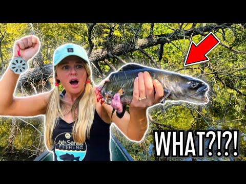 Upset moment as swamp monster steals catfish catch