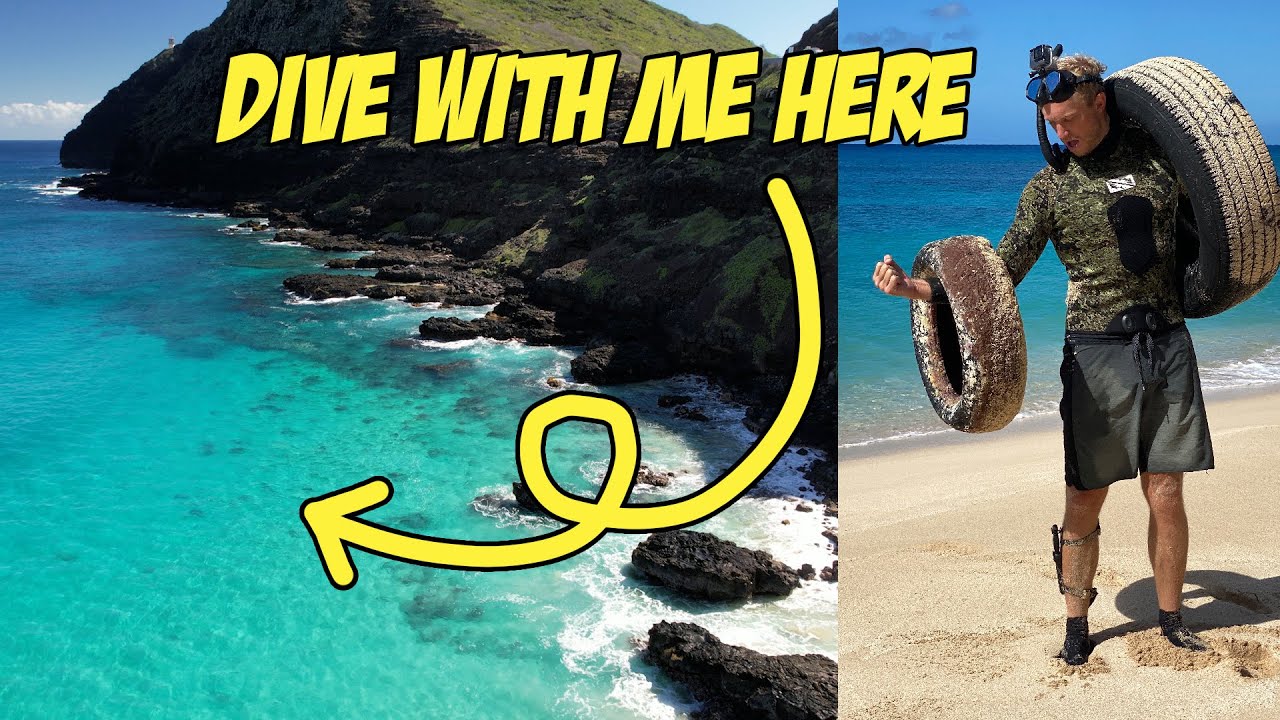 How Diving Opens Up a Hidden World Beneath the Waves
