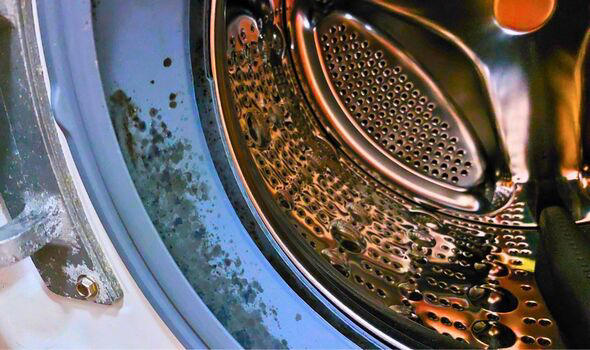 Washing machines will never become mouldy if you do a 5-second task ...