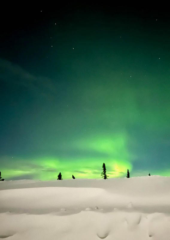 I Saw the Northern Lights in Anchorage: Here is What You Need to Know