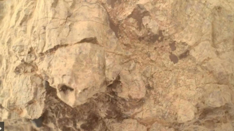 NASA Perseverance rover discovers turtle-shaped rock on Mars ...