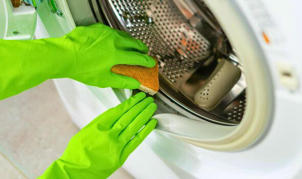 Washing machines will never become mouldy if you do a 5-second task ...