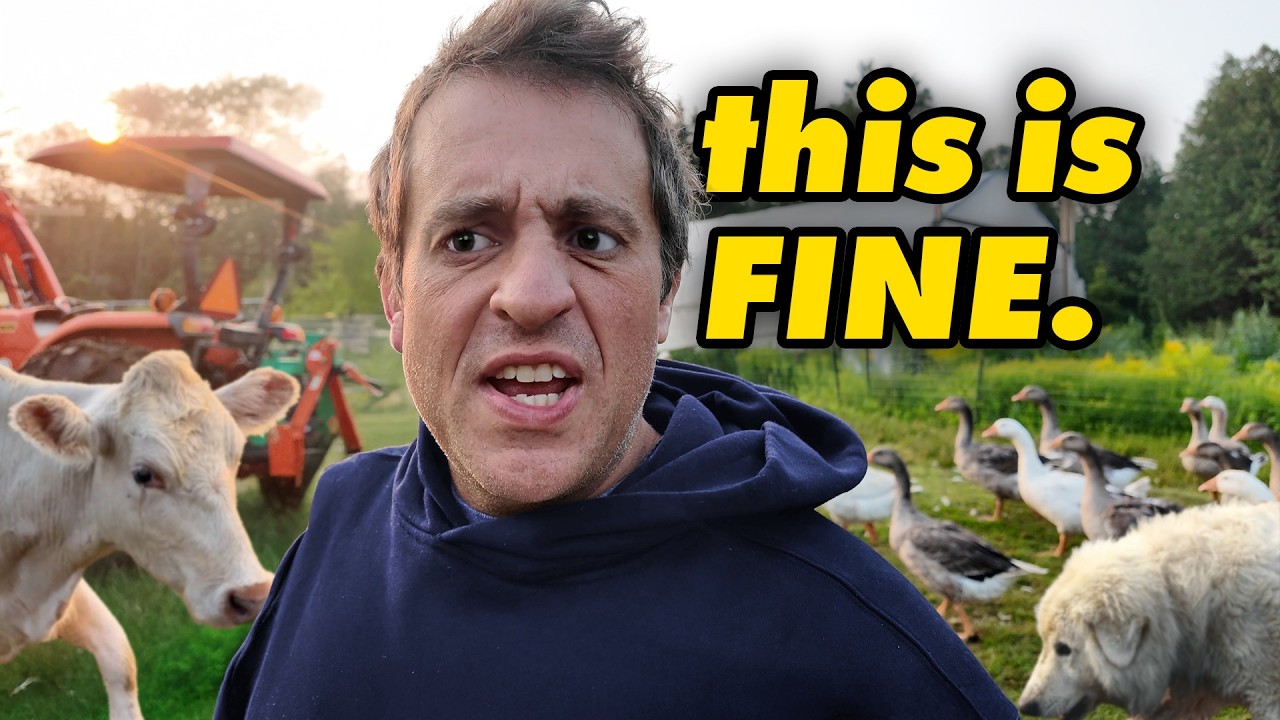 Living farm life with no drama or distractions