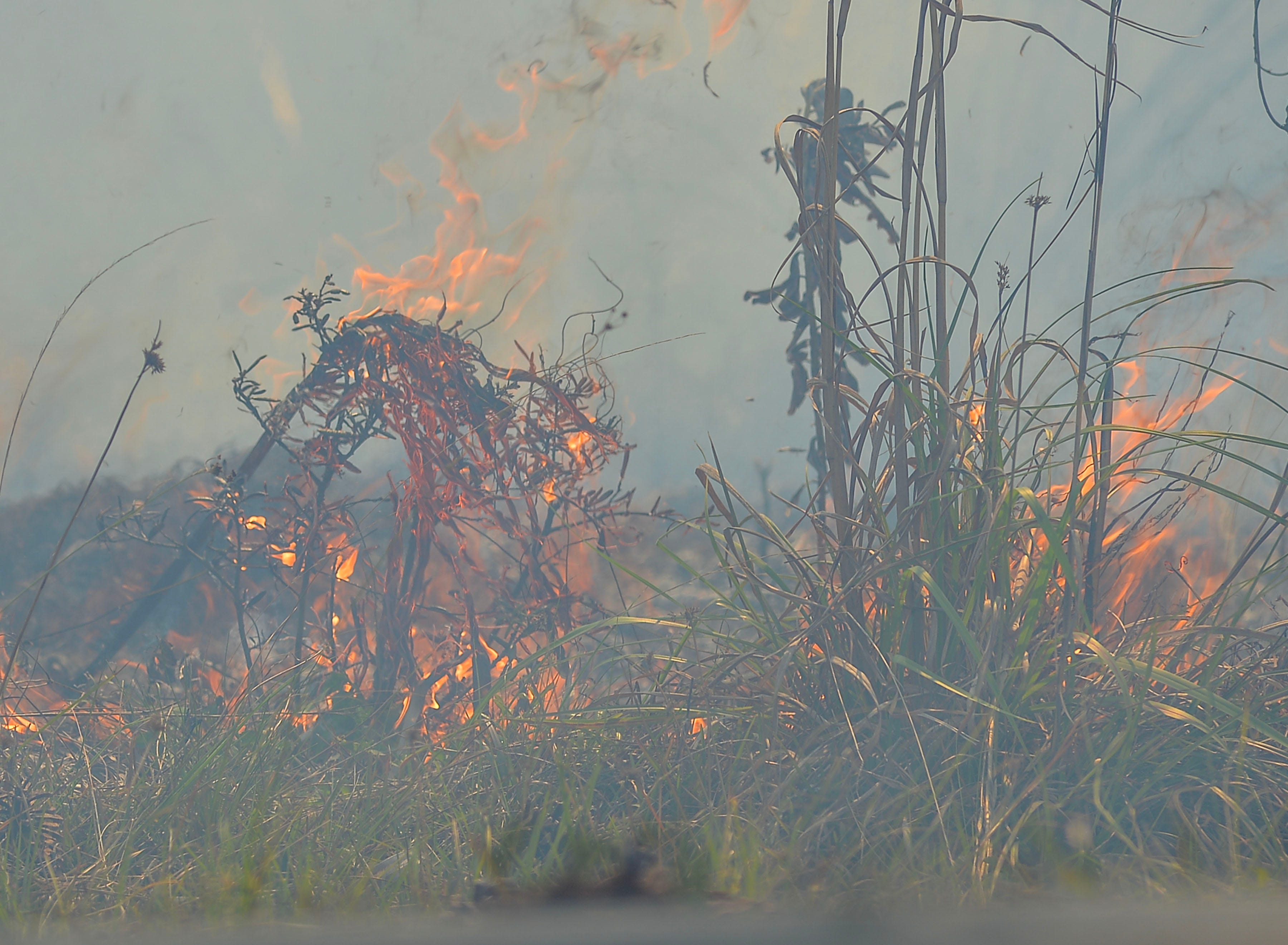 There's a controlled burn in Martin County Sept. 10