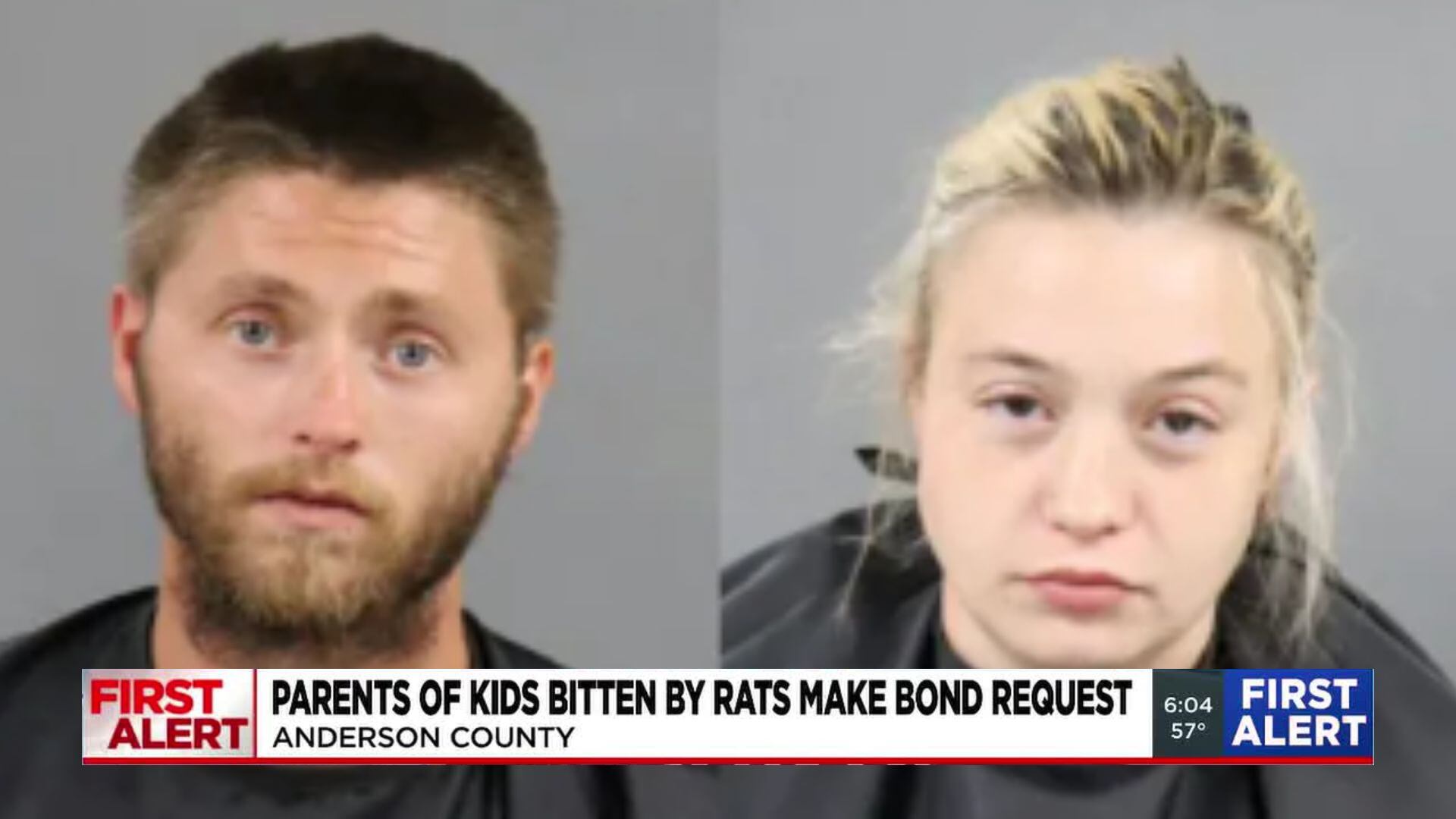Solicitor: Parents of kids bitten by field rats in Upstate granted ...