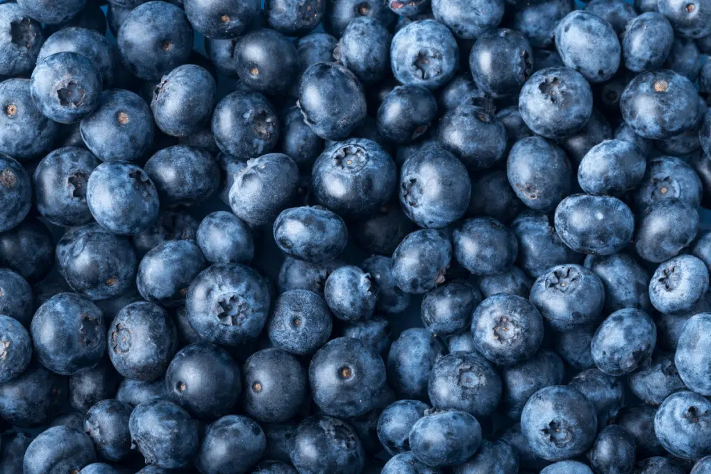 Want better focus? These 10 foods can help your brain