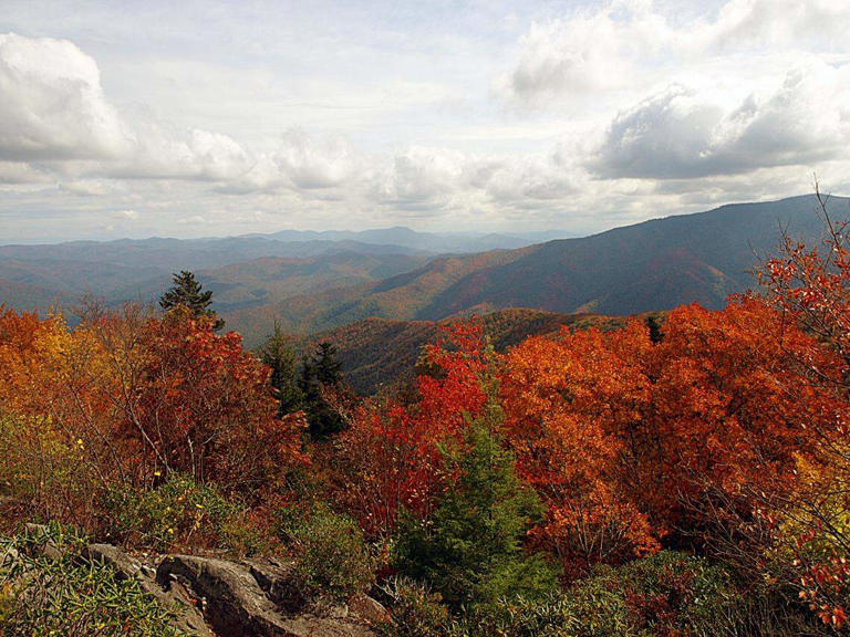 Peak leaf season in NC: Where to see the best colors + which WNC roads ...