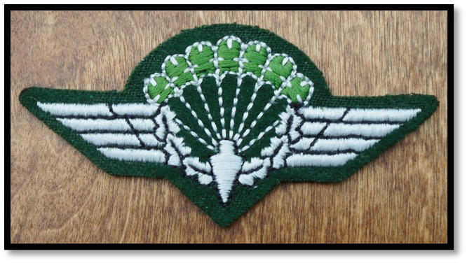 GSG 9: Germany’s Counterterrorist Elite Police Tactical Unit