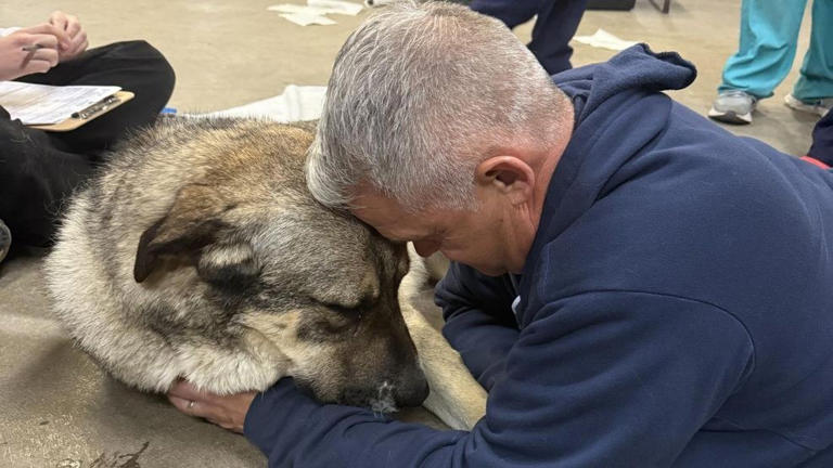 Dev Accelerator IPO listing date today. Here’s what GMP, experts signal ...