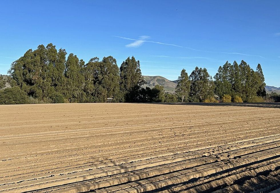 21 Classic Photos To Help Transport You Back In Time