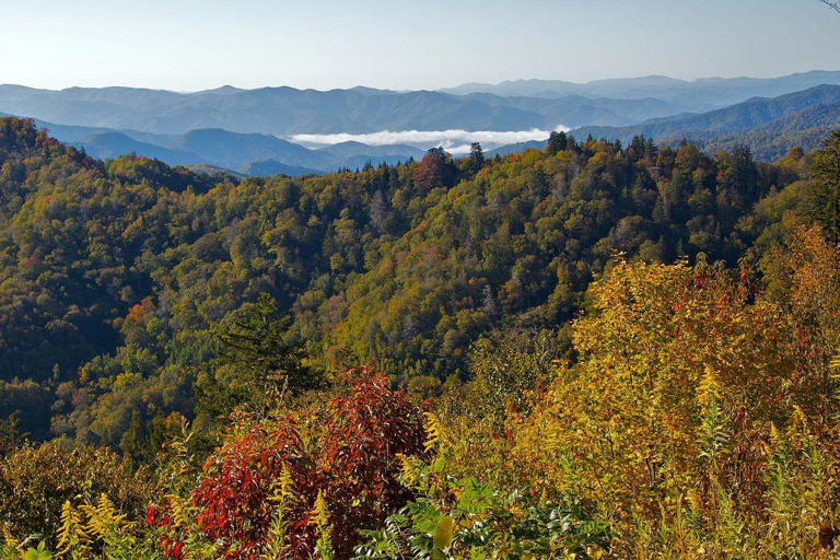 Peak leaf season in NC: Where to see the best colors + which WNC roads ...