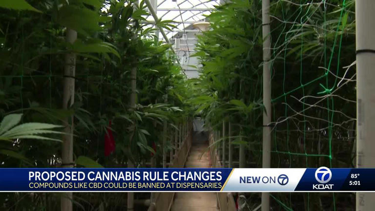 Proposed Cannabis Rule Changes In New Mexico Spark Industry Concerns