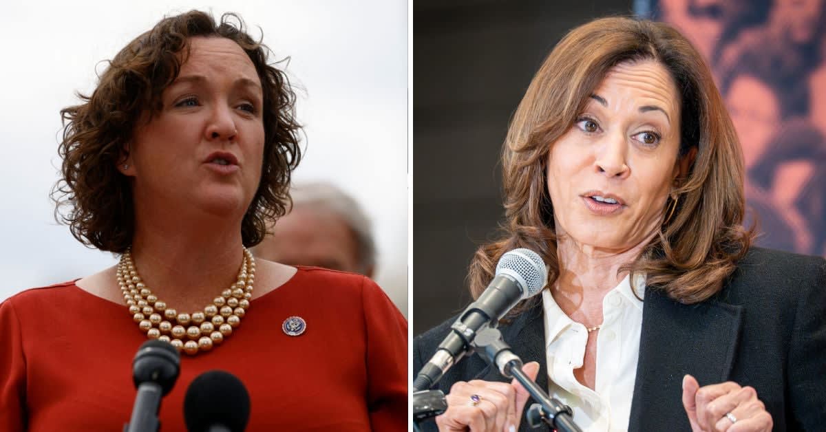 New Democratic frontrunner takes lead in polls with Kamala out