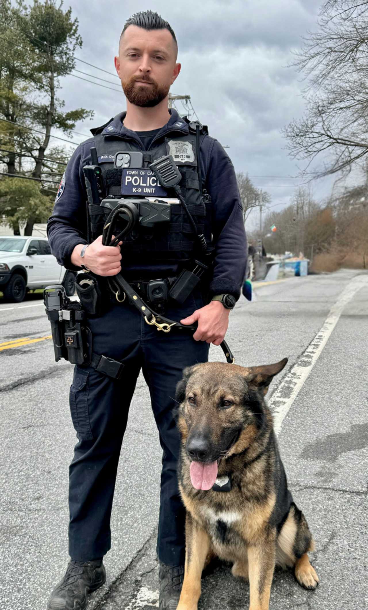 K9 Catches Man Who Broke Into Home, Car Dealership In Putnam County ...