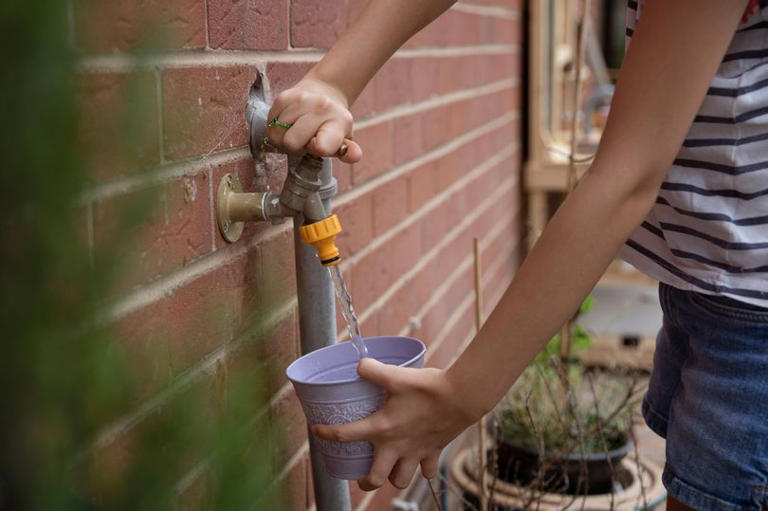 Anyone with outdoor tap in garden told to take urgent action now