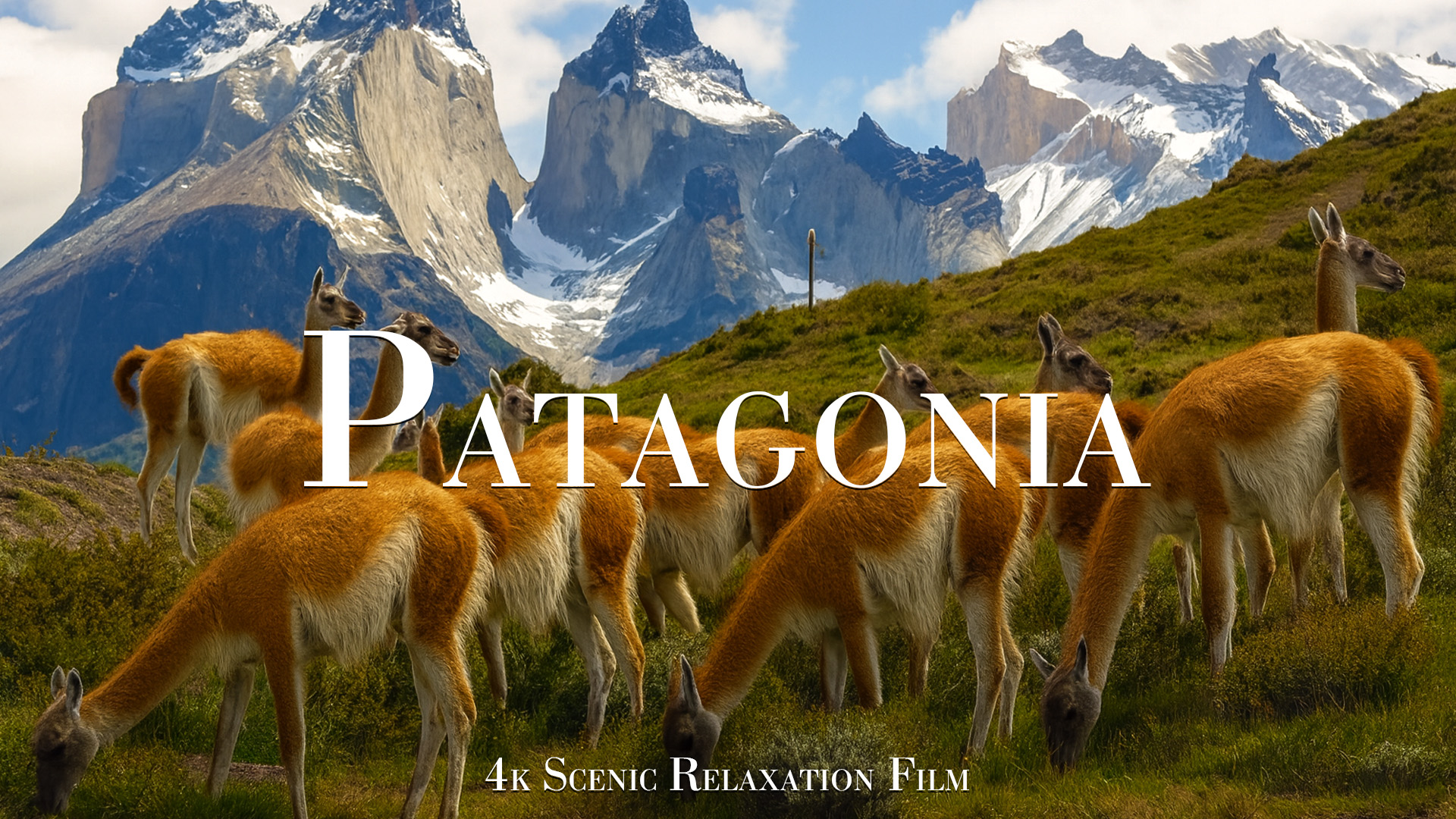 Exploring Patagonia – Animals and Mount Fitz Roy in 4K