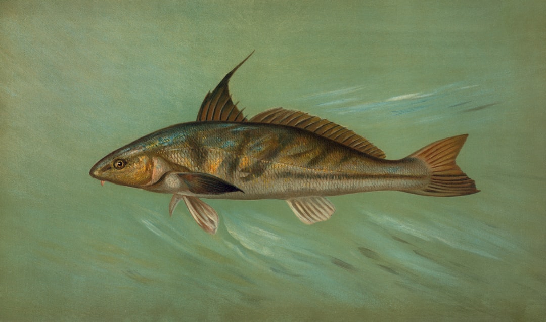 Fish Ranked by Health Benefits: From Least to Most Nutritious