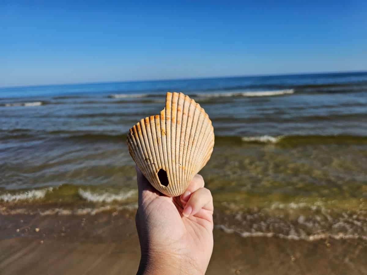 St. George Island State Park: Florida's pristine beach paradise