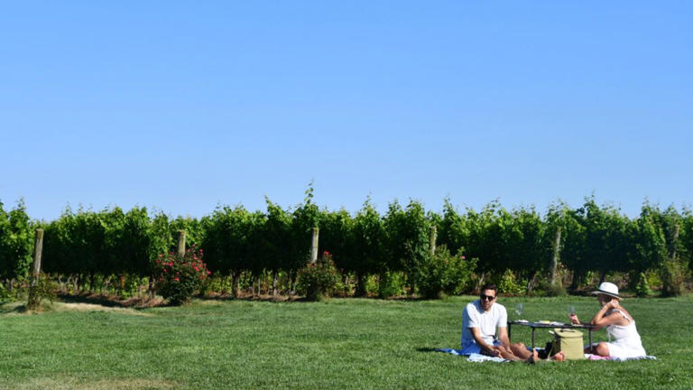 Connecticut vineyard tours to take in September