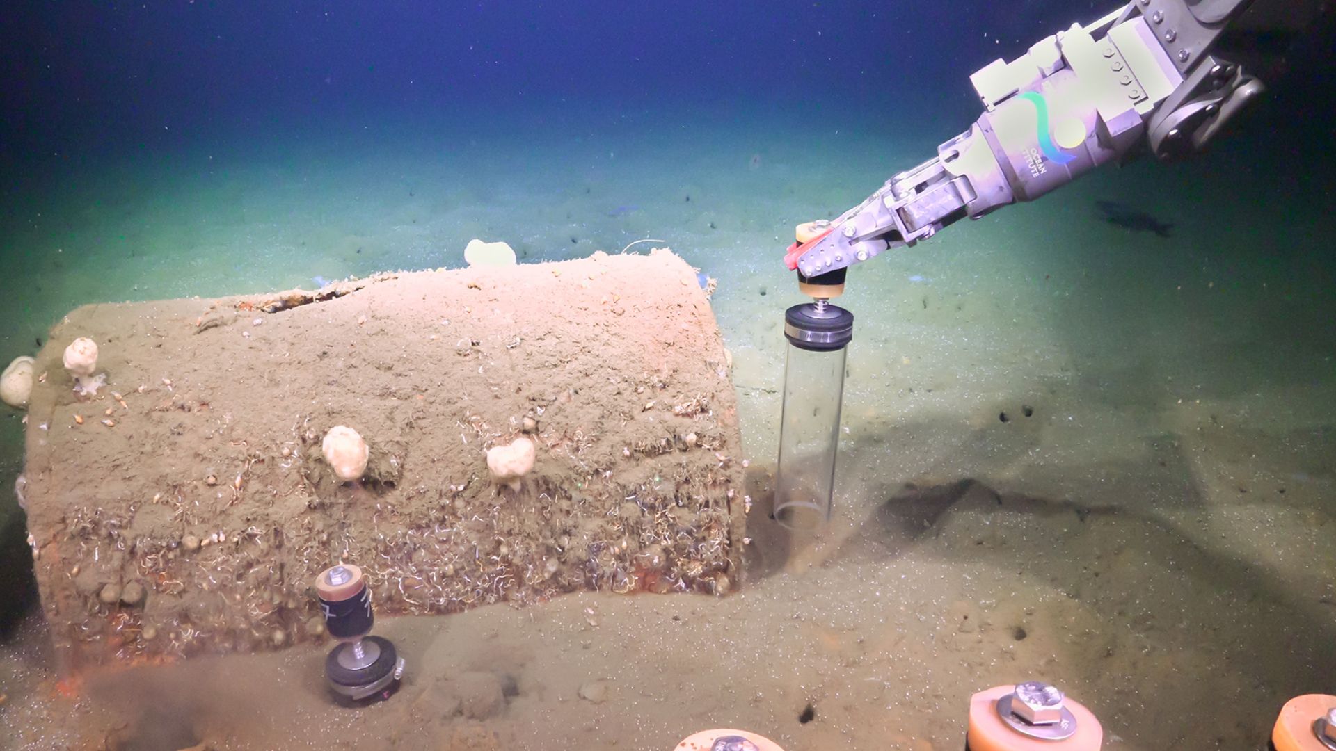 Photos: Ghostly halos around deep-sea barrels identified as alkaline ...