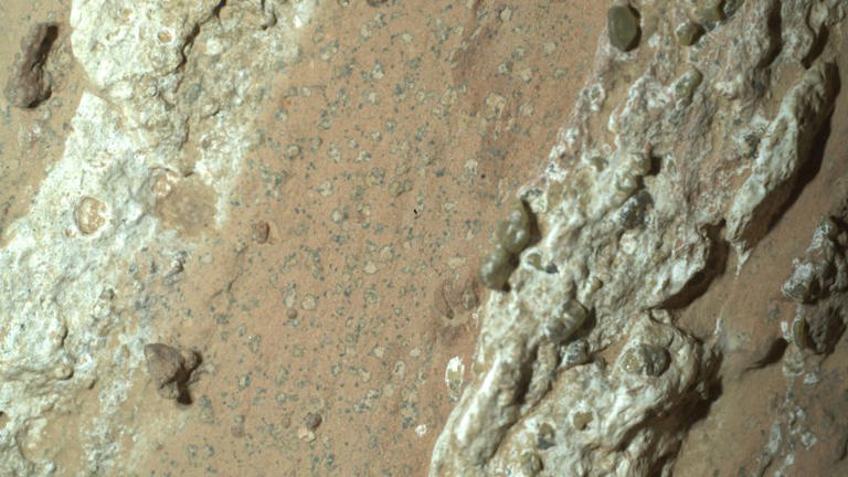 Rock discovery contains ‘clearest sign’ yet of ancient life on Mars ...