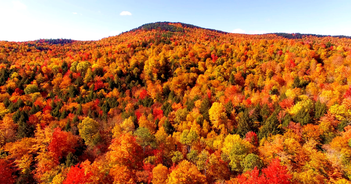 Here Are The Best Times And Places To View Maine's Fall Foliage In 2025