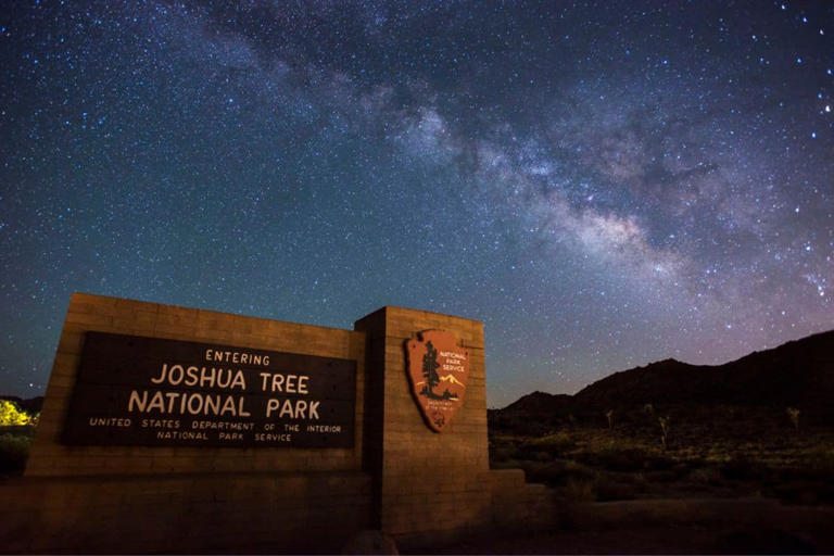 9 Types of Travelers Who Will Fall in Love with Joshua Tree National Park