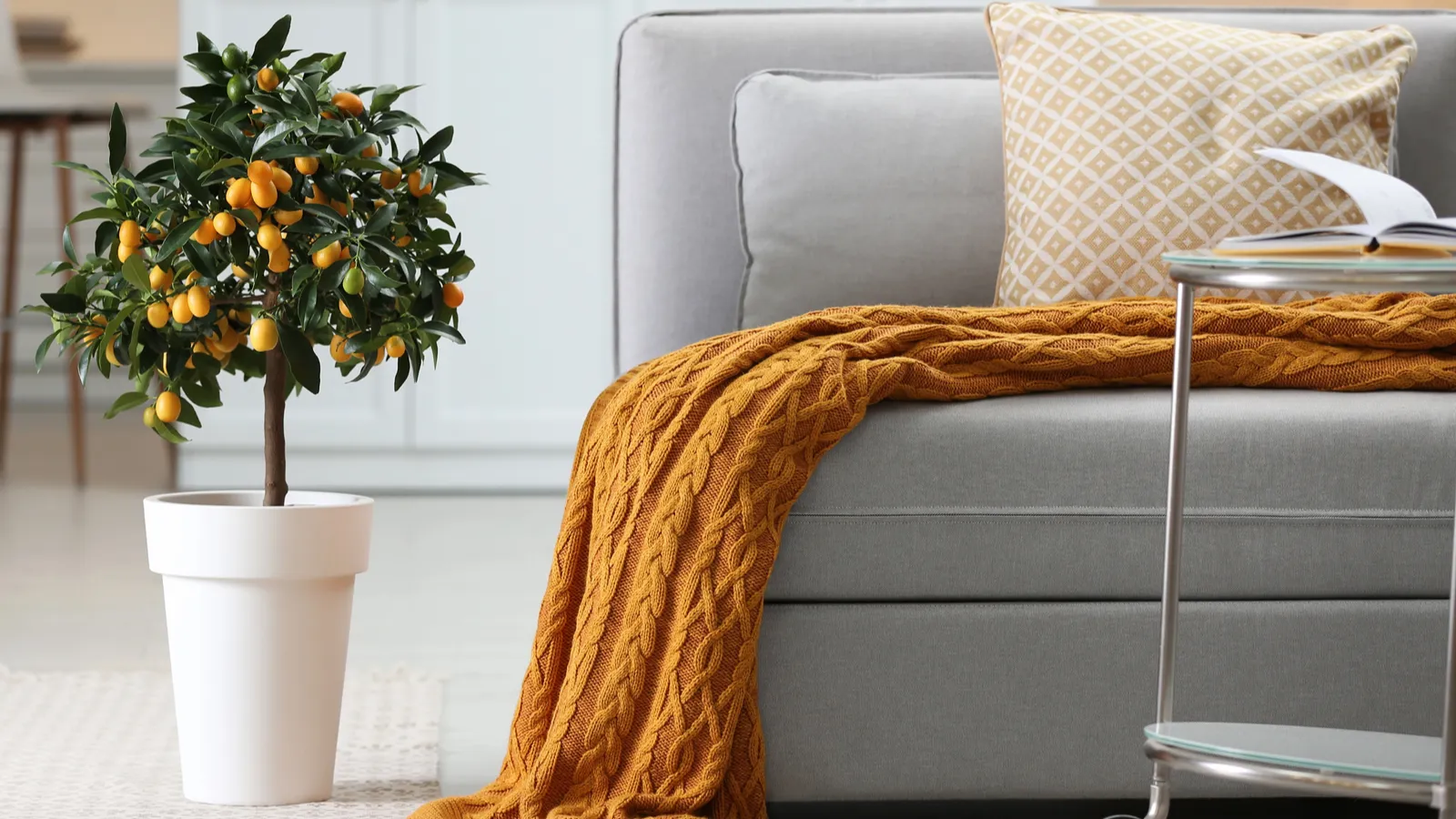Why some people grow citrus trees indoors (even in small apartments)