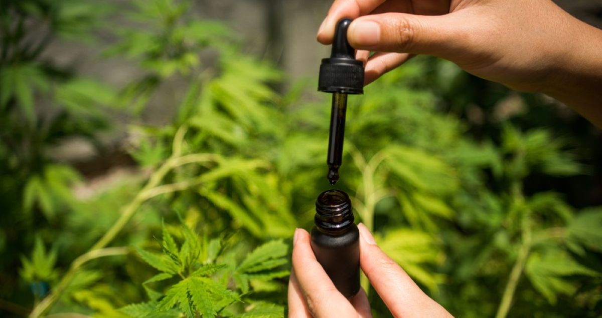 Marijuana could disrupt human egg development and cause chromosomal defects