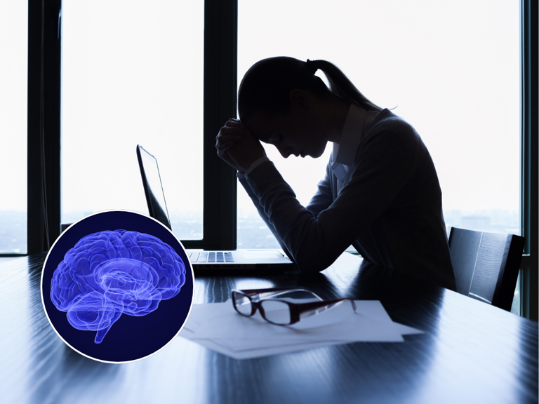 Carrying stress for too long can shut down 2 key brain functions ...