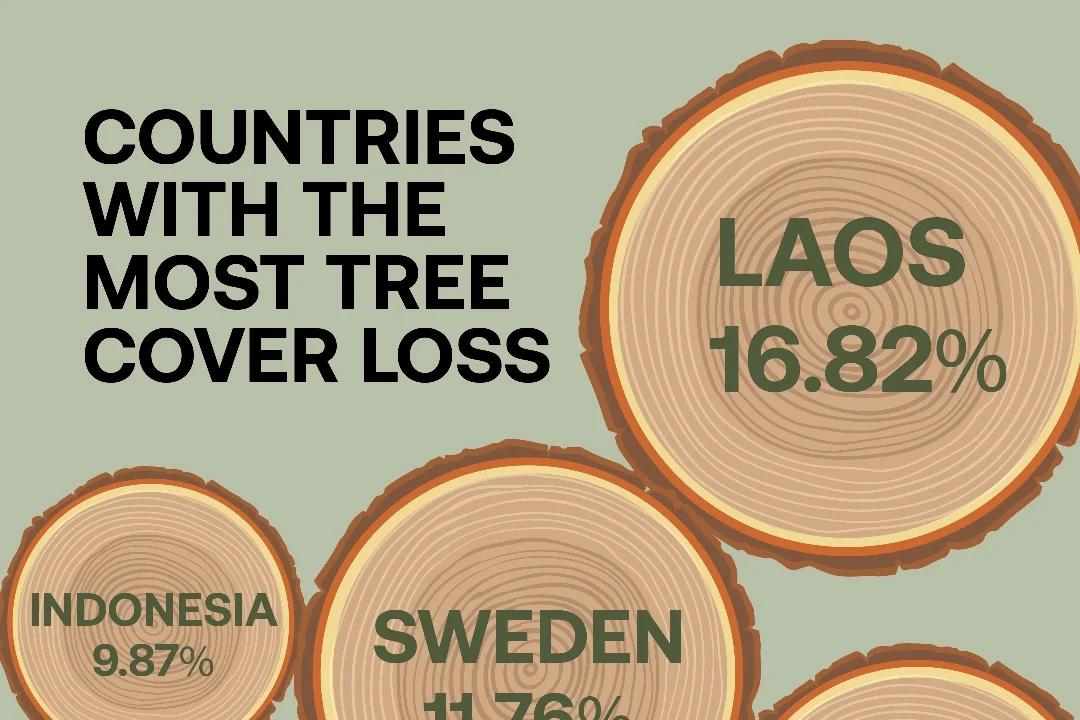 Global forest crisis: Laos leads in tree-cover loss