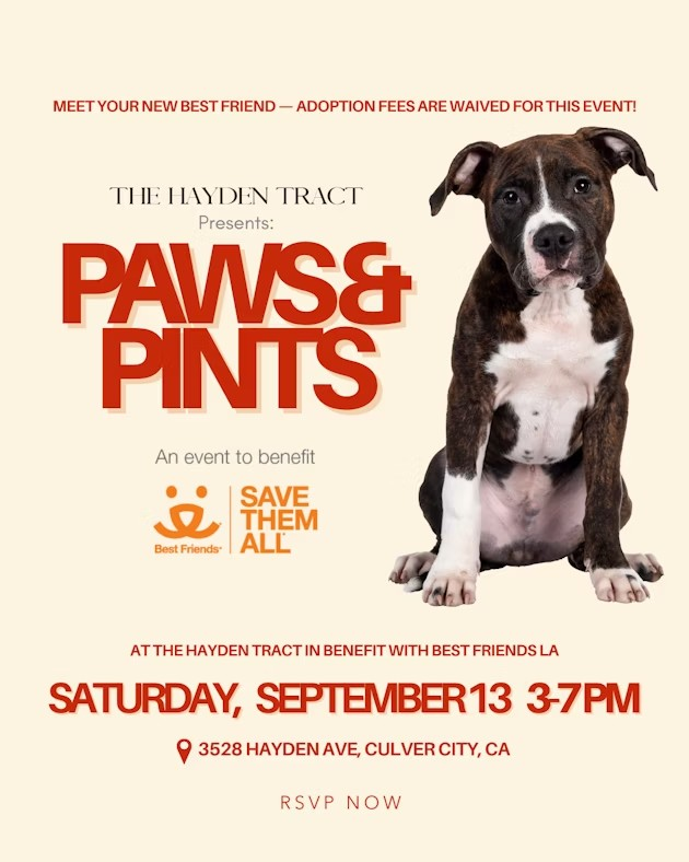 PAWS AND PINTS, LA