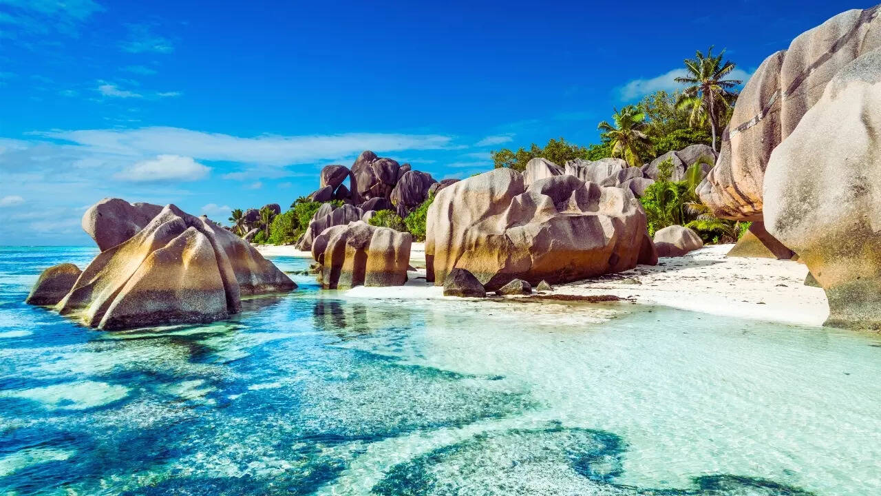 From beaches to wildlife: What makes Seychelles a unique island?