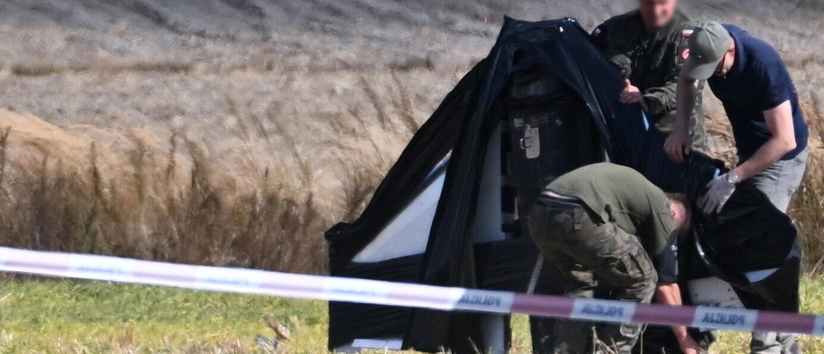 Perché i droni russi sono entrati in Polonia. Il generale Tricarico ...